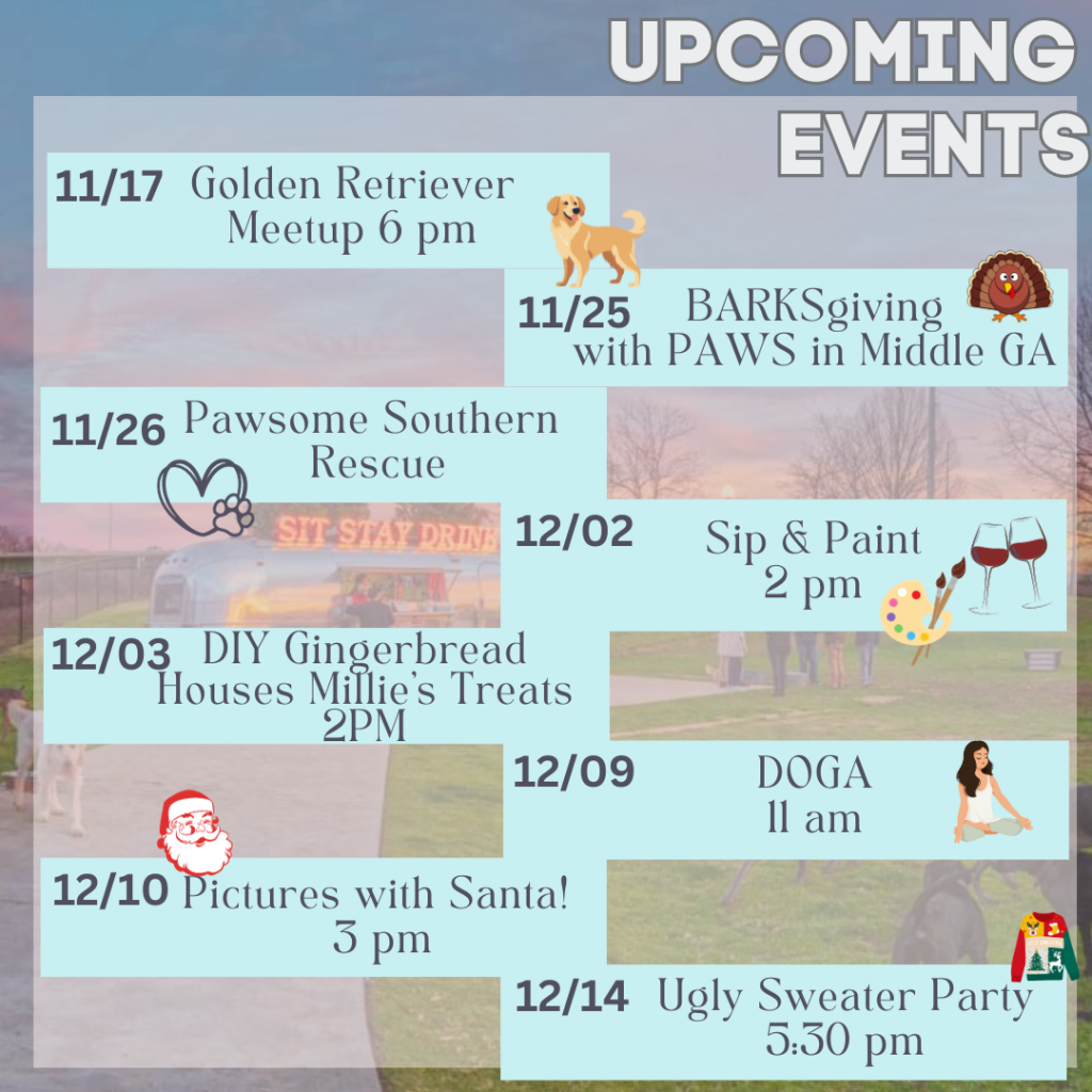 Home - Barks N Brews